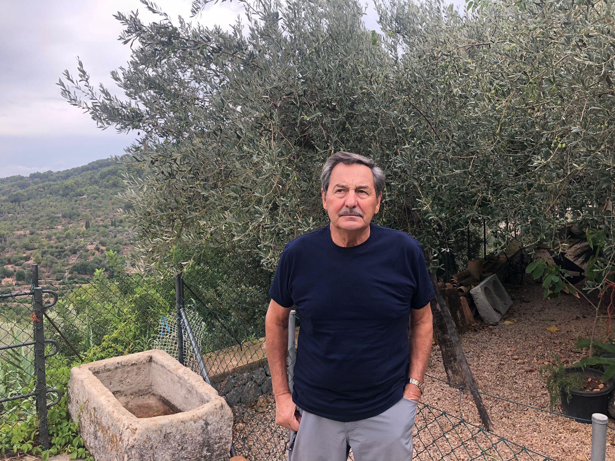 Pep Oliver Timoner des del cor de l’olivar de Sóller