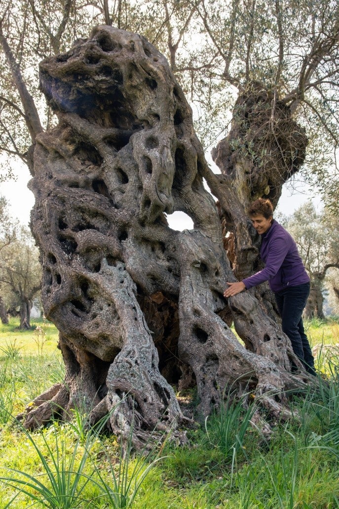 Rosa Pons, guardiana de la vinya de Can Axartell
